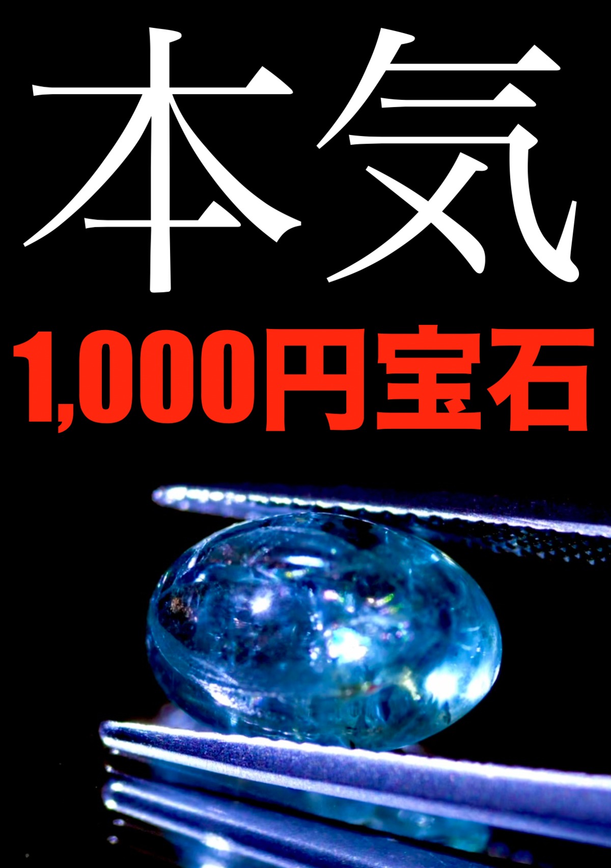 本気の1,000円宝石[HONKI-42] | Stone Shop Dignity