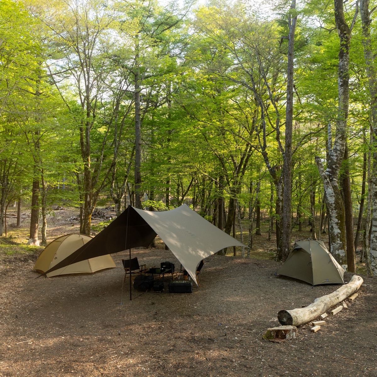 【THE FREE SPIRITS】Diamond tarp Olive | WOODS