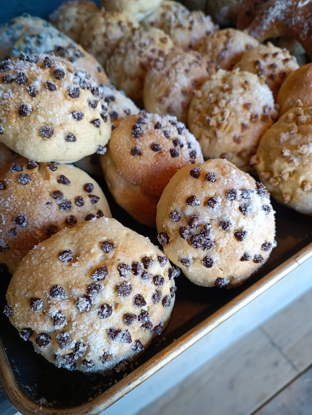 モチモチ便 | lepang