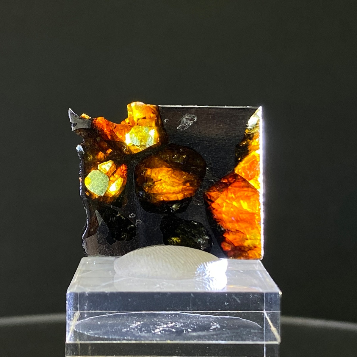 エスケル隕石HG Esquel Meteorite 22092605 | 【隕石屋】METEOS（メテオス）