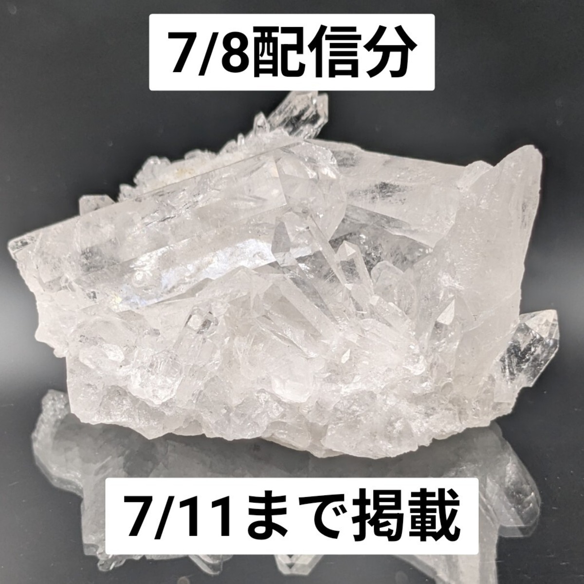 Megu.may.rainbow様専用 | 美奇ワールド