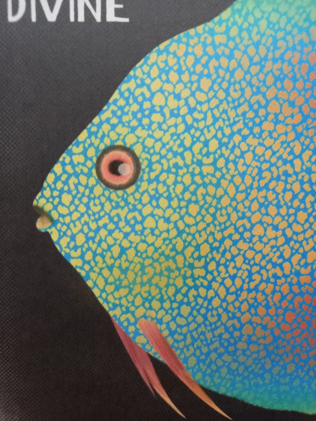 DIVINE FISH アート | TAKENOKURASHI