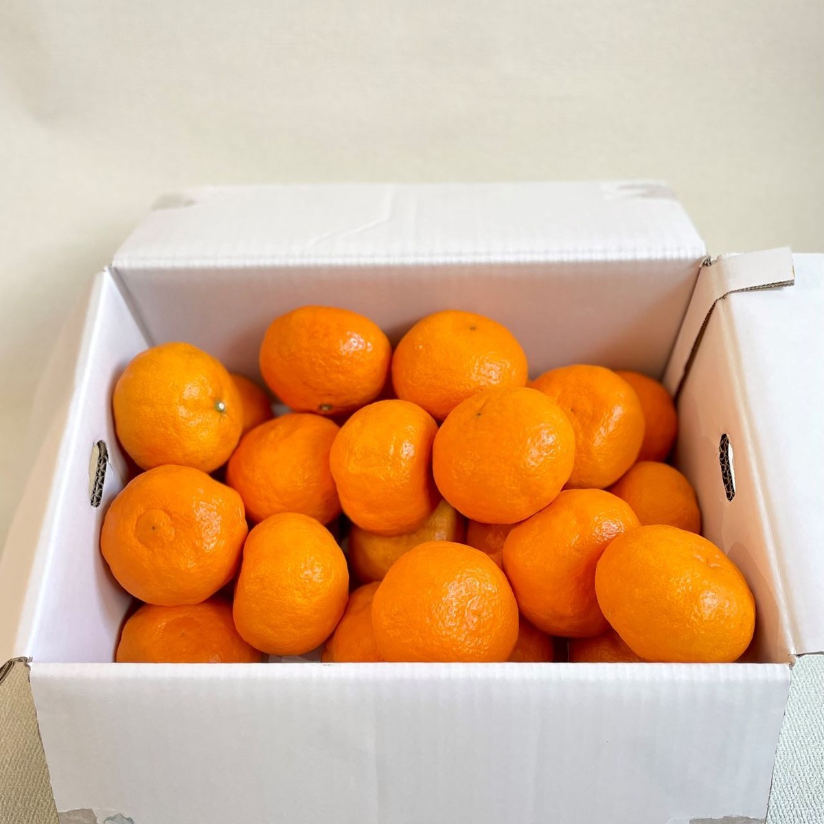 カラマンダリン 愛媛県産 | 東商店・岡山の青果店