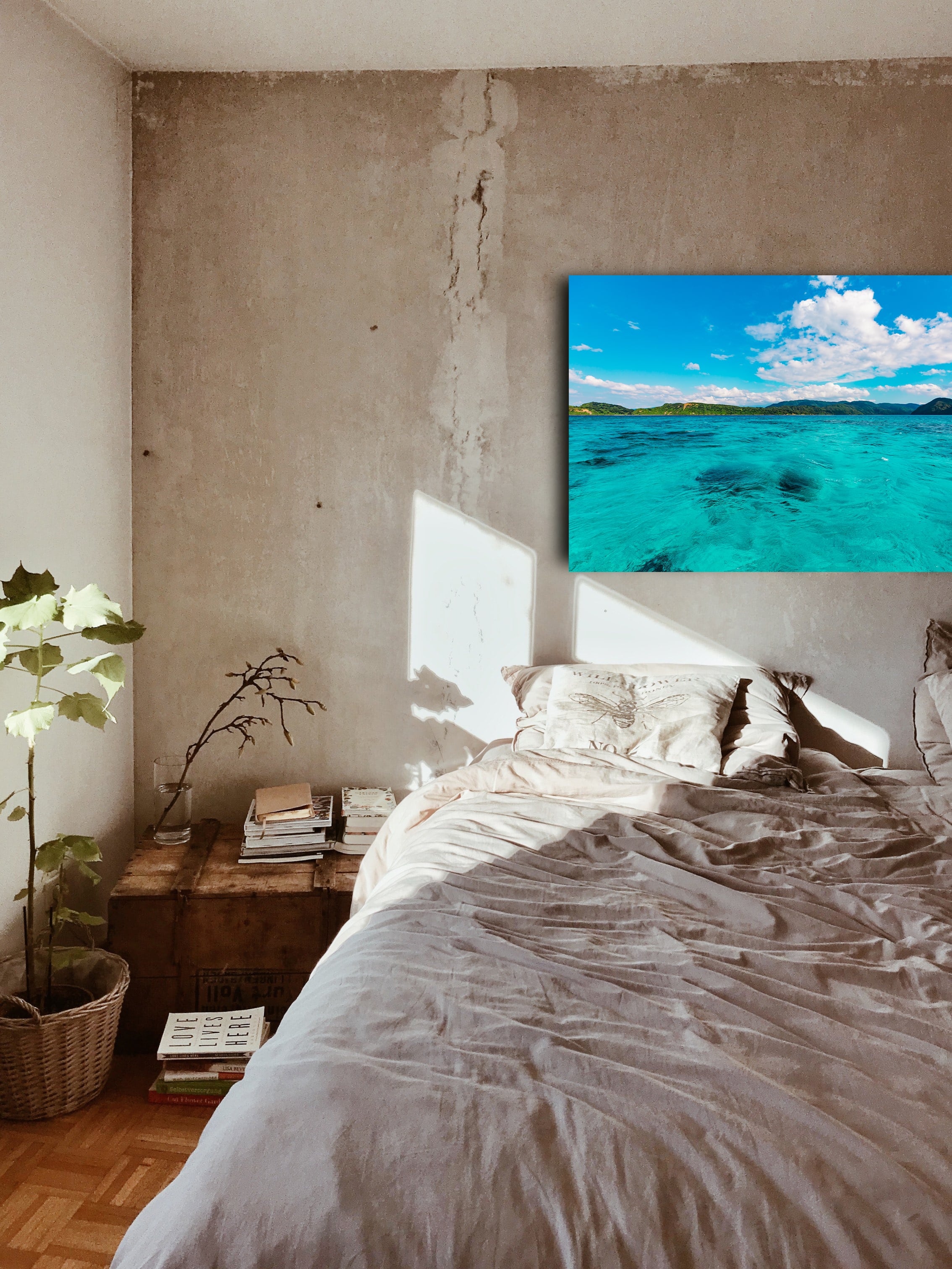 福井様専用 | Blue Bullet gallery