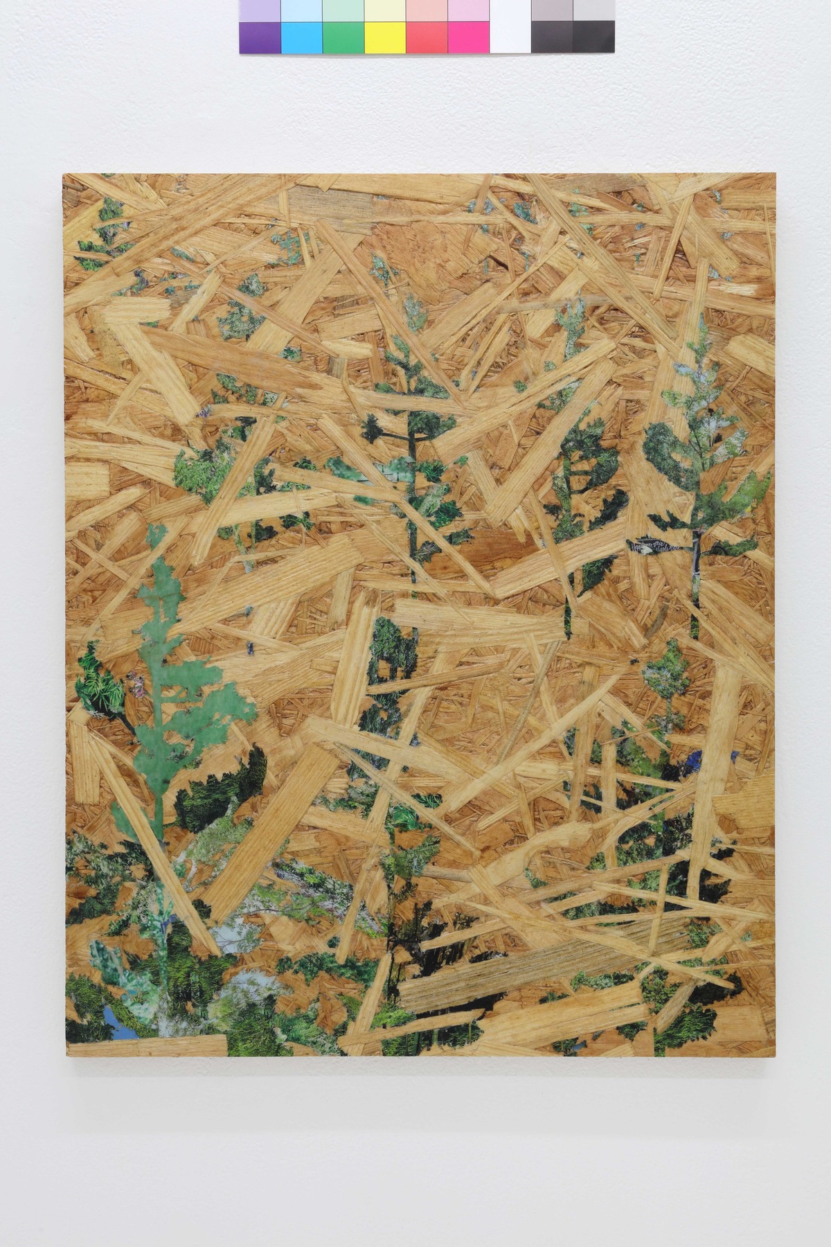 OSB redpine woods | Yu Harada