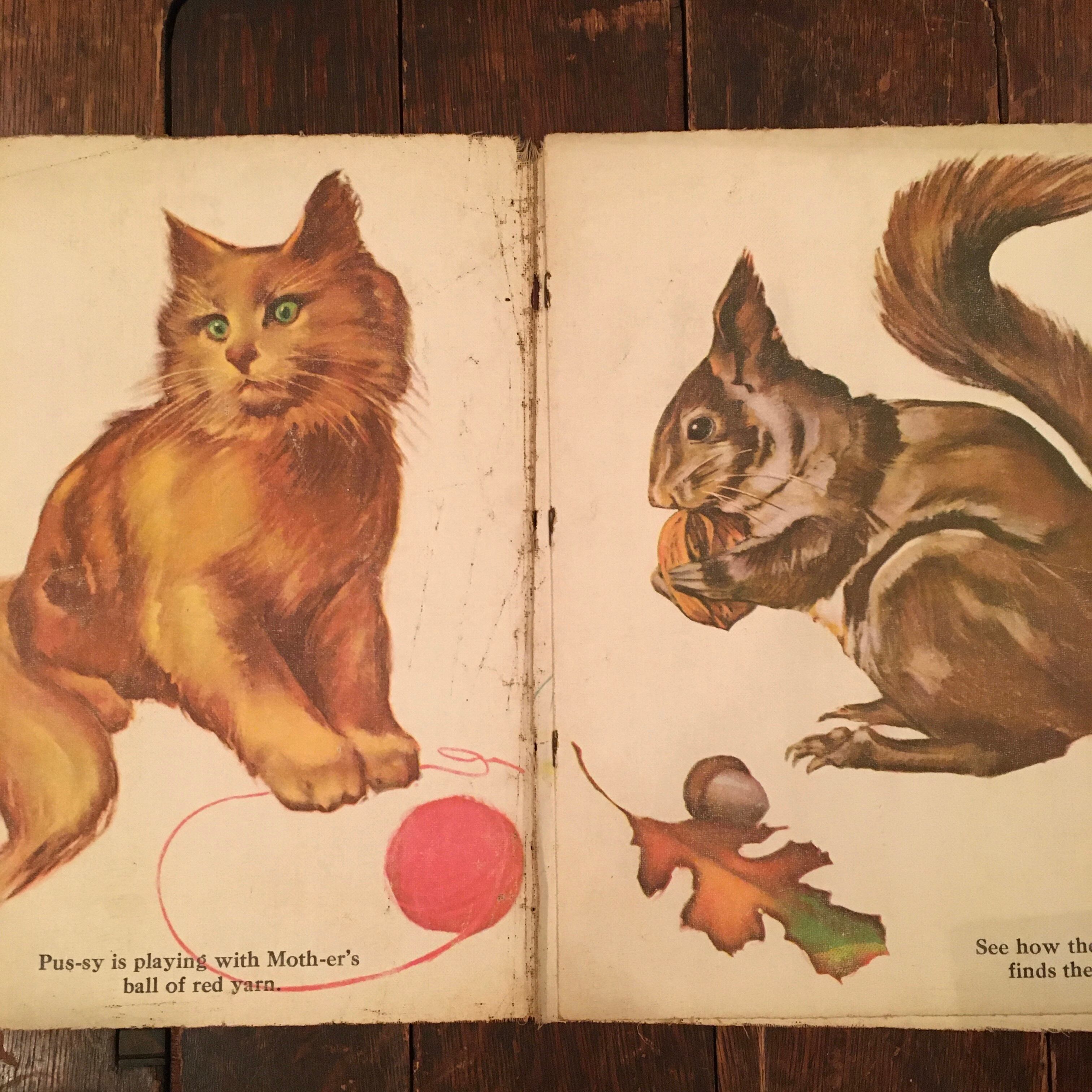 FRIENDLY ANIMALS / ROY BEST | 百年