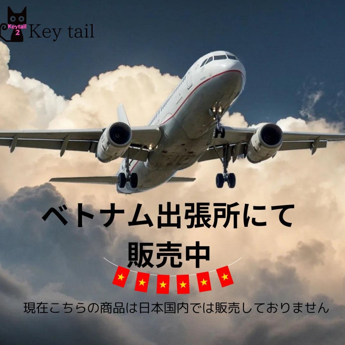 2カラット大粒ペンダントトップ/キラキラ透明のサスティナブルジュエリー/CZ | keytail 幸運の鍵しっぽ