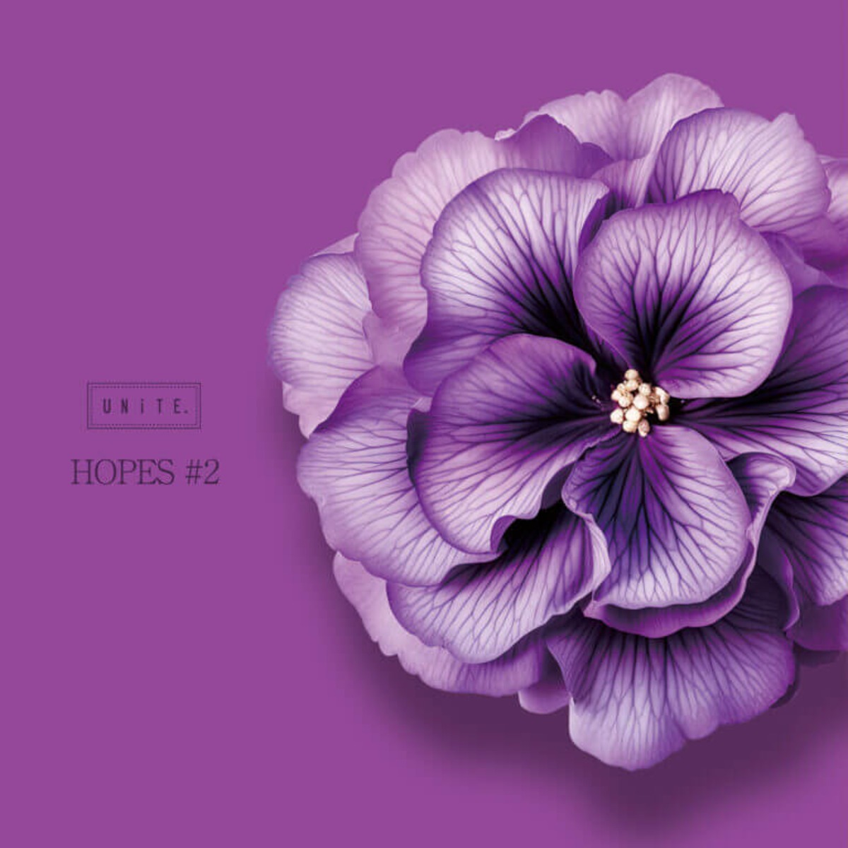 2025.01.22 ユナイト / HOPES #2 | littleHEARTS.