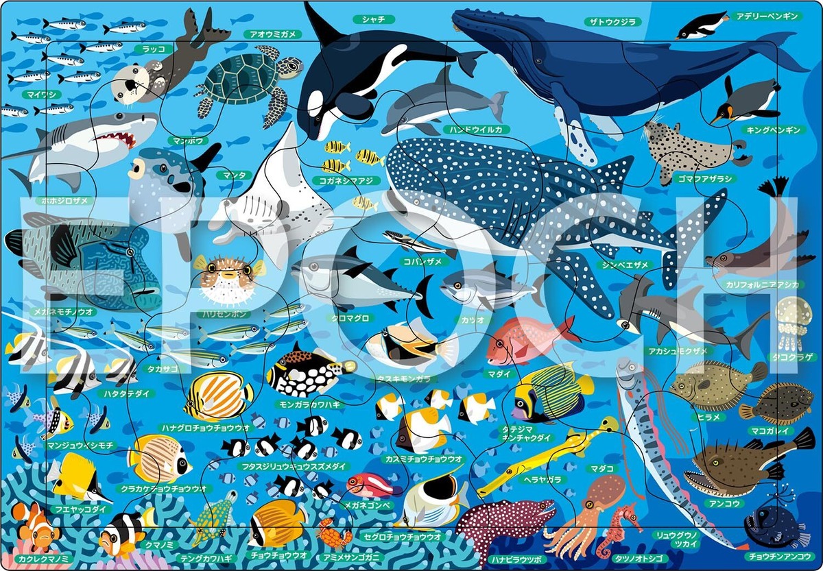 【人気商品】エポック社 【アポロのピクチュアパズル】 うみのなかまたち 35ピース こども向けパズル 25-231 STマーク認証 おかたづけ袋付き 4歳以上 おもちゃ EPOCH ...