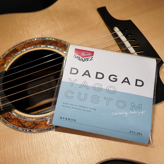 【弦】SAVAREZ "DADGAD YAGO CUSTOM" PHOSPHOR BRONZE 013-056 A140YC | Yago ...