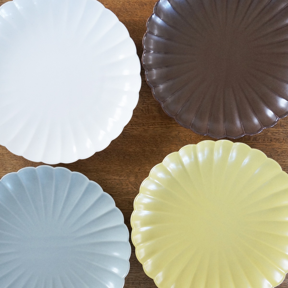 jicon 菊皿 / 中皿 | Houm Base