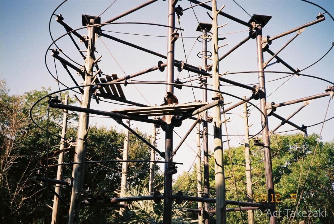 Nikon ZOOM 700 VR - Totte Me Camera