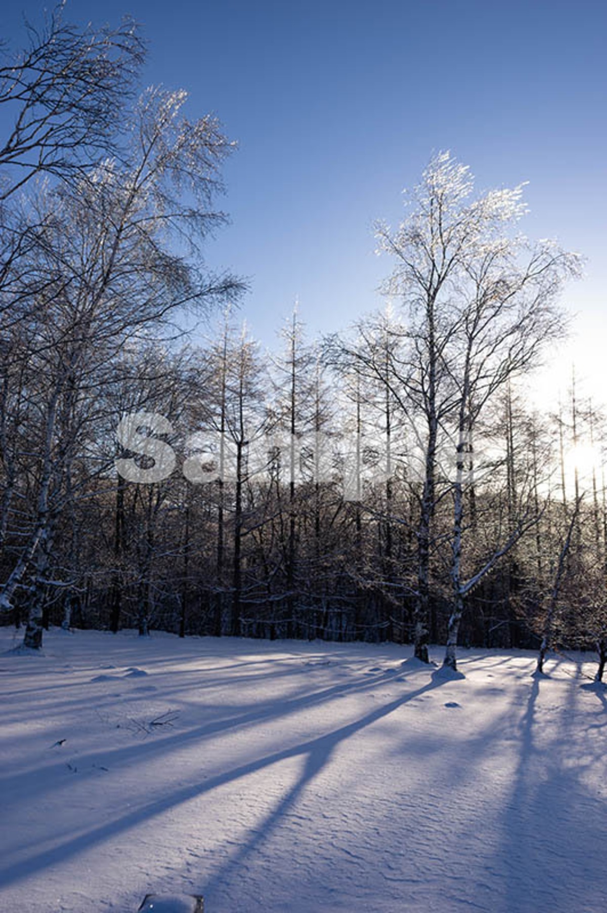 IMGP0026 5B | meadowscape