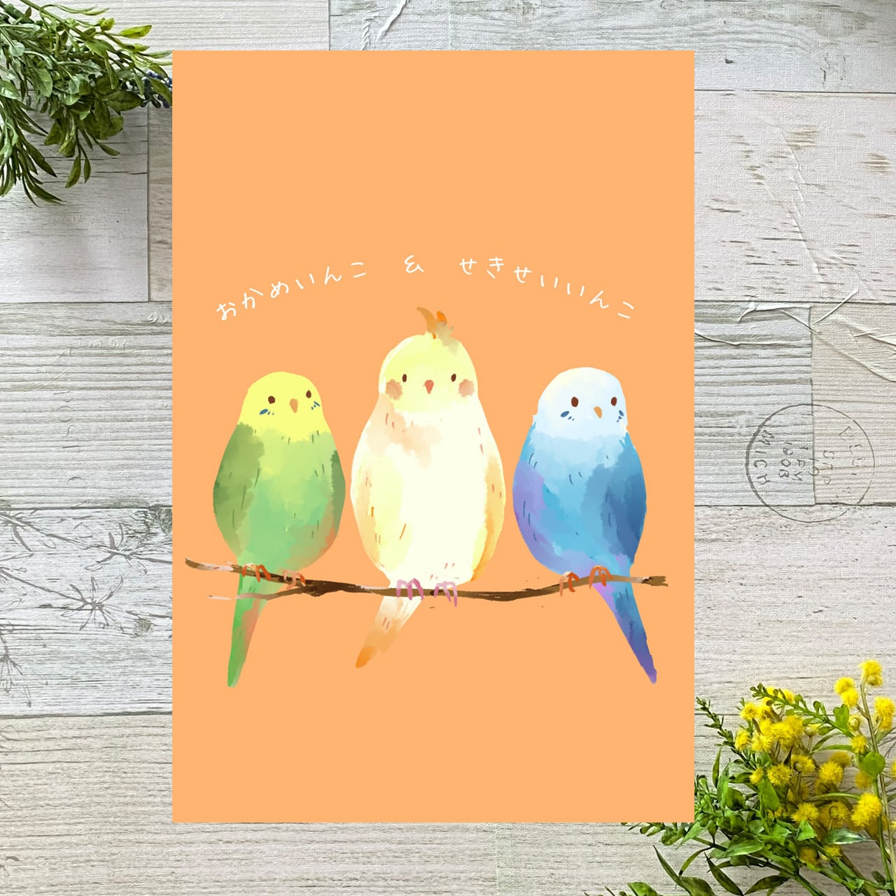 インコちゃんず イラストポストカード2枚セット | Pay ID インコちゃんず イラストポストカード2枚セット | Pay ID