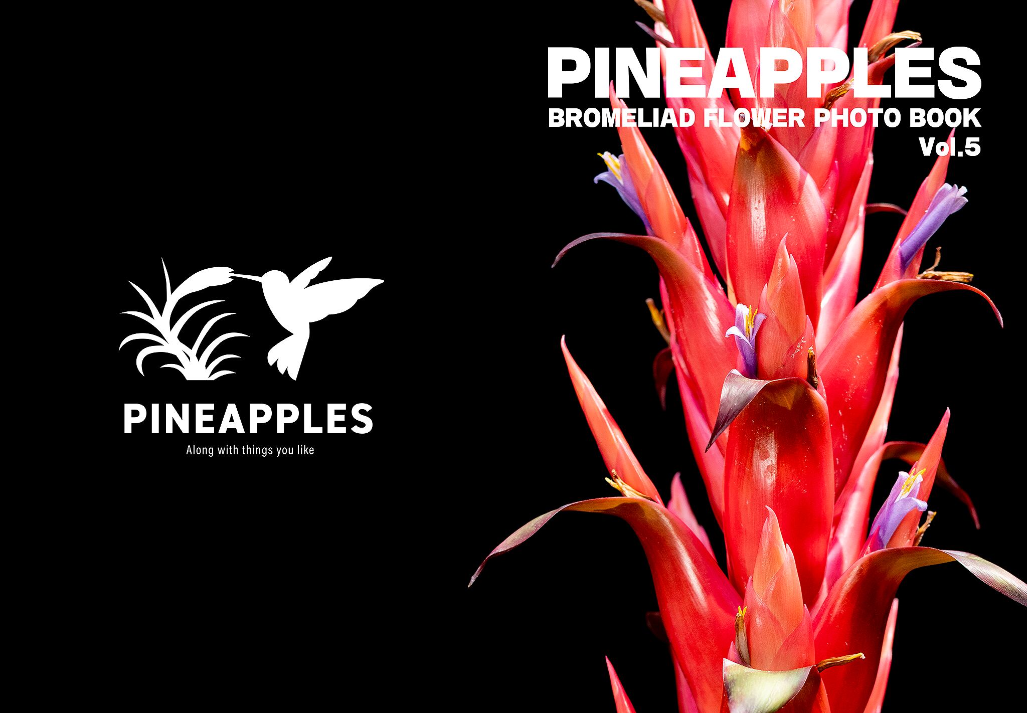 PINEAPPLES -BROMELIAD FLOWER PHOTO BOOK- Vol.5 | Pay ID