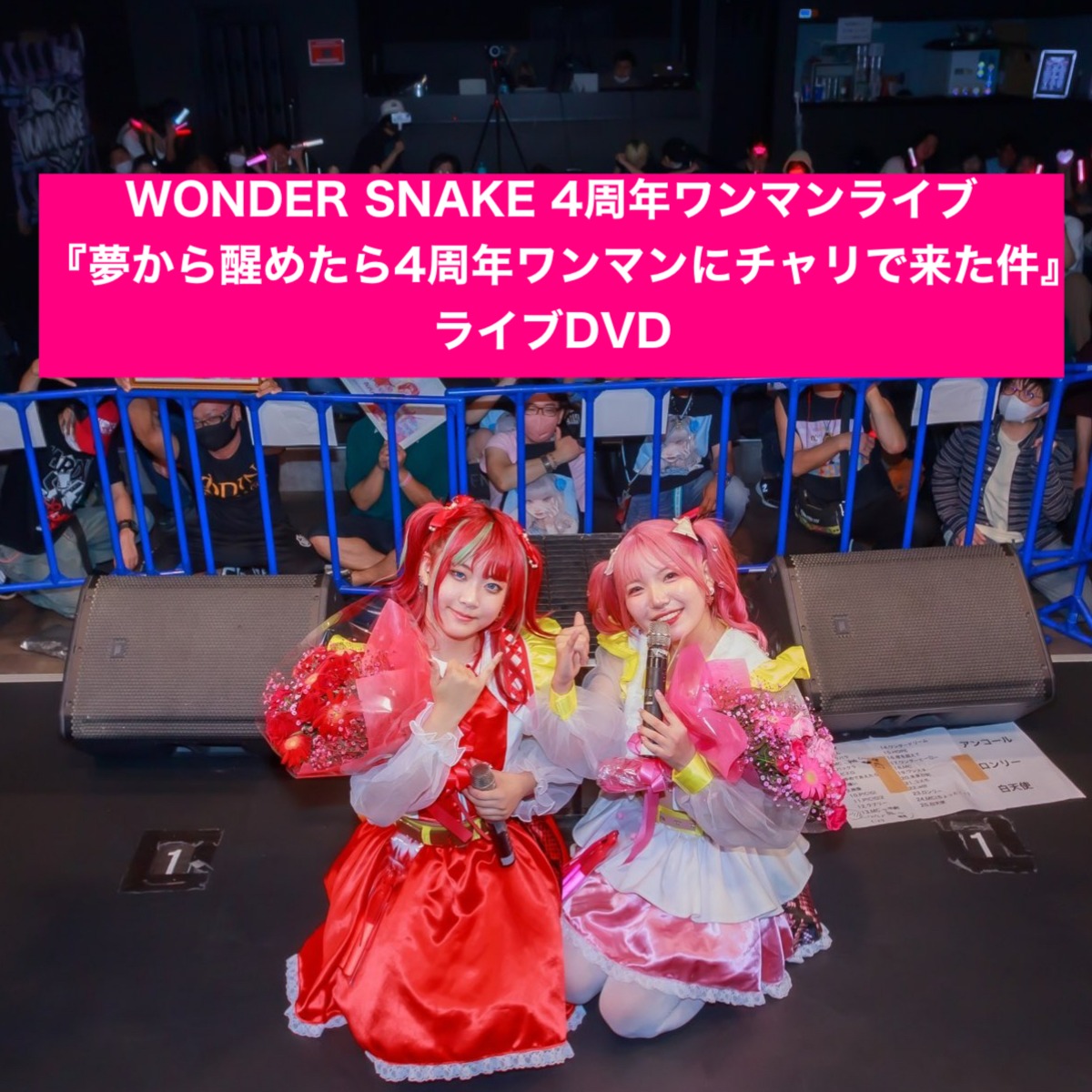 【WONDER SNAKE】WONDER SNAKE4周年ワンマンライブDVD | DRAMATICAL RECORDS