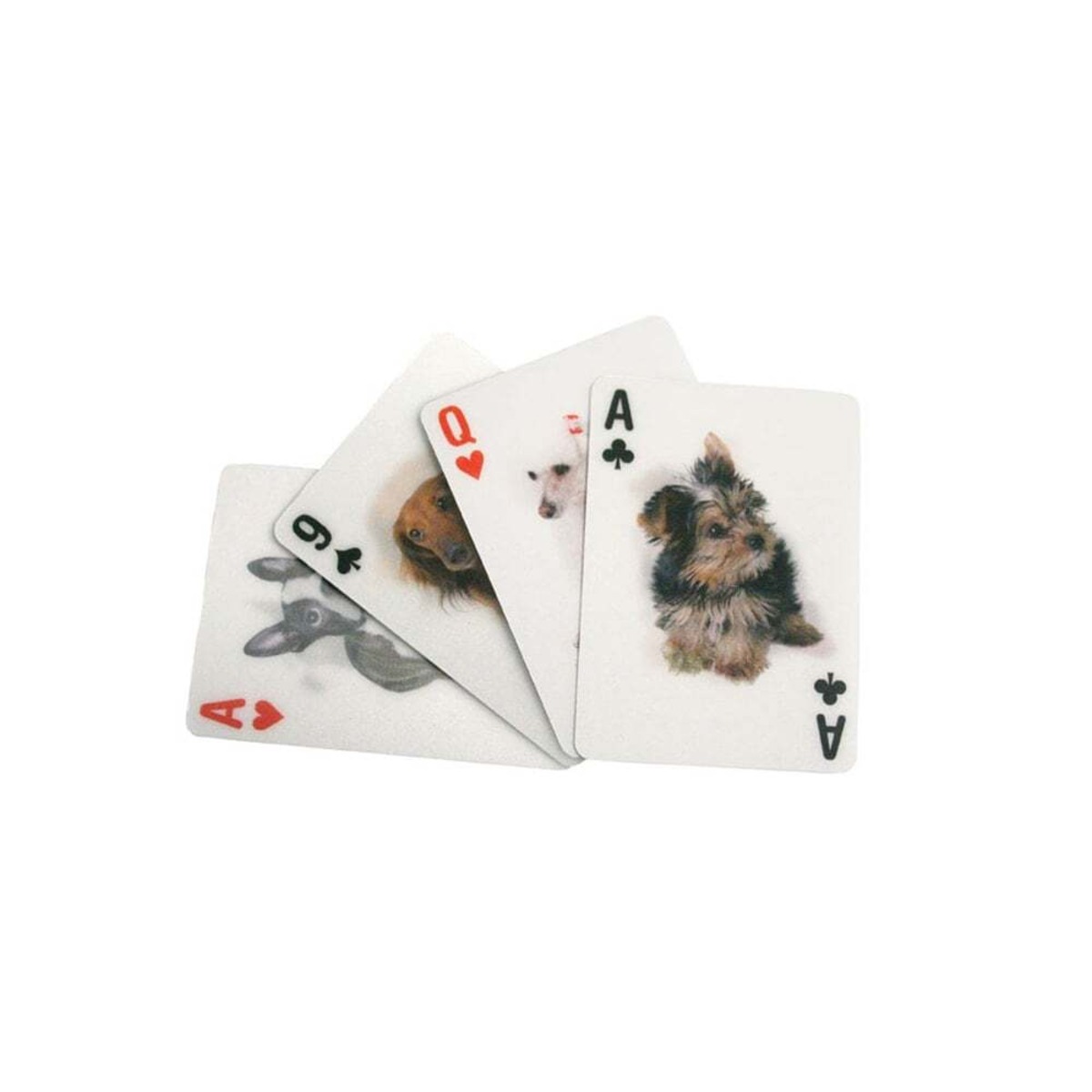 【KIKKERLAND】 3D Dog Cards | dros dro