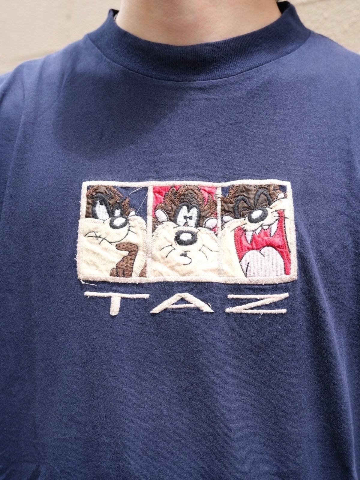 Used TAZ Tee | THE OUR