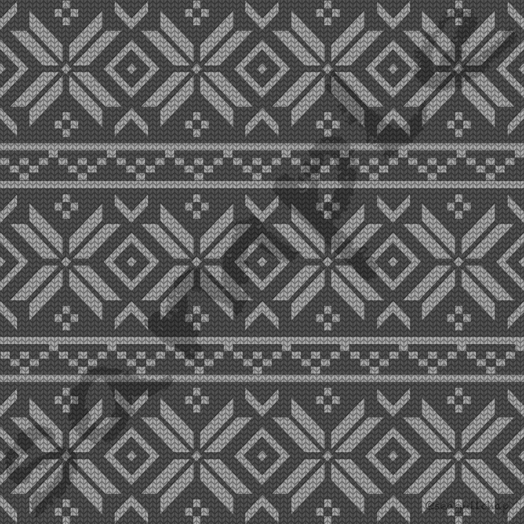 61-z-1080-x-1080-pixel-jpg-seagullchap