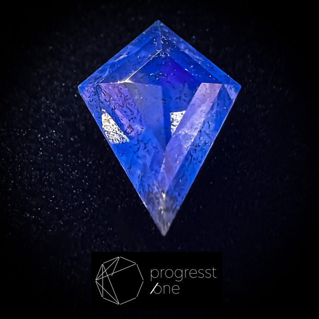 ソルトアンドペッパーダイヤモンド0.49ct | progresstone
