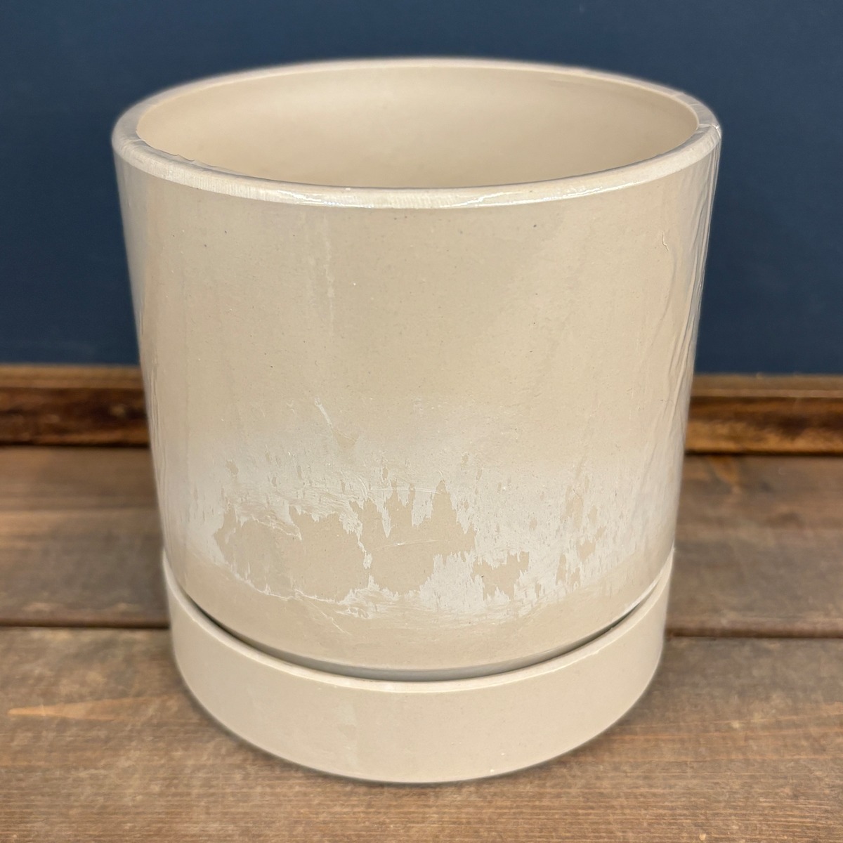 ｼﾘﾝﾄﾞｩﾘｶﾙﾎﾟｯﾄ12 ｲｴﾛｰ | PROTOLEAF プロトリーフ