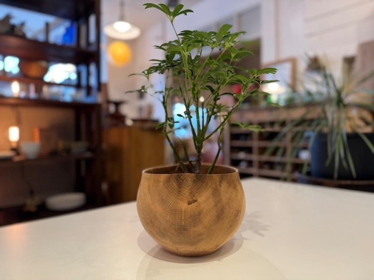 Pot Cover | ROOMS
