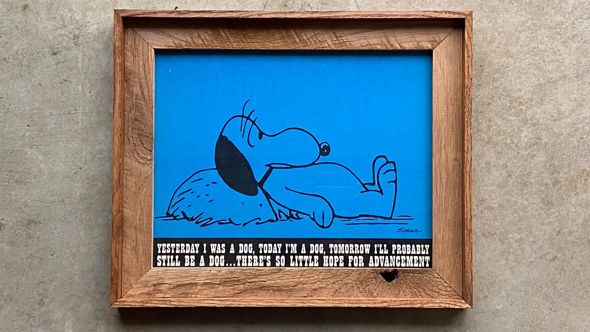 60s PEANUTS POSTERS 【A】 | CEREAL（シリアル）