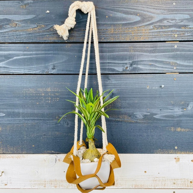 レザーネットハンガーM | JOYLY