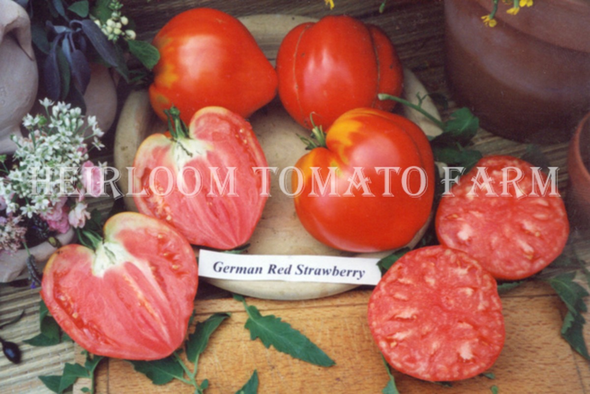 Heirloom Tomato® German Red Strawberry エアルーム・トマト・ジャーマン・レッド・ストロベリー ...