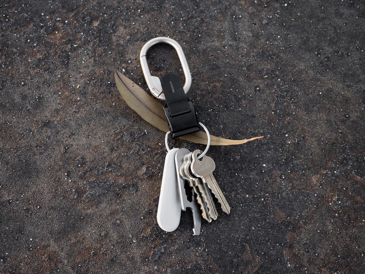 Orbitkey Clip v2 | docketstore