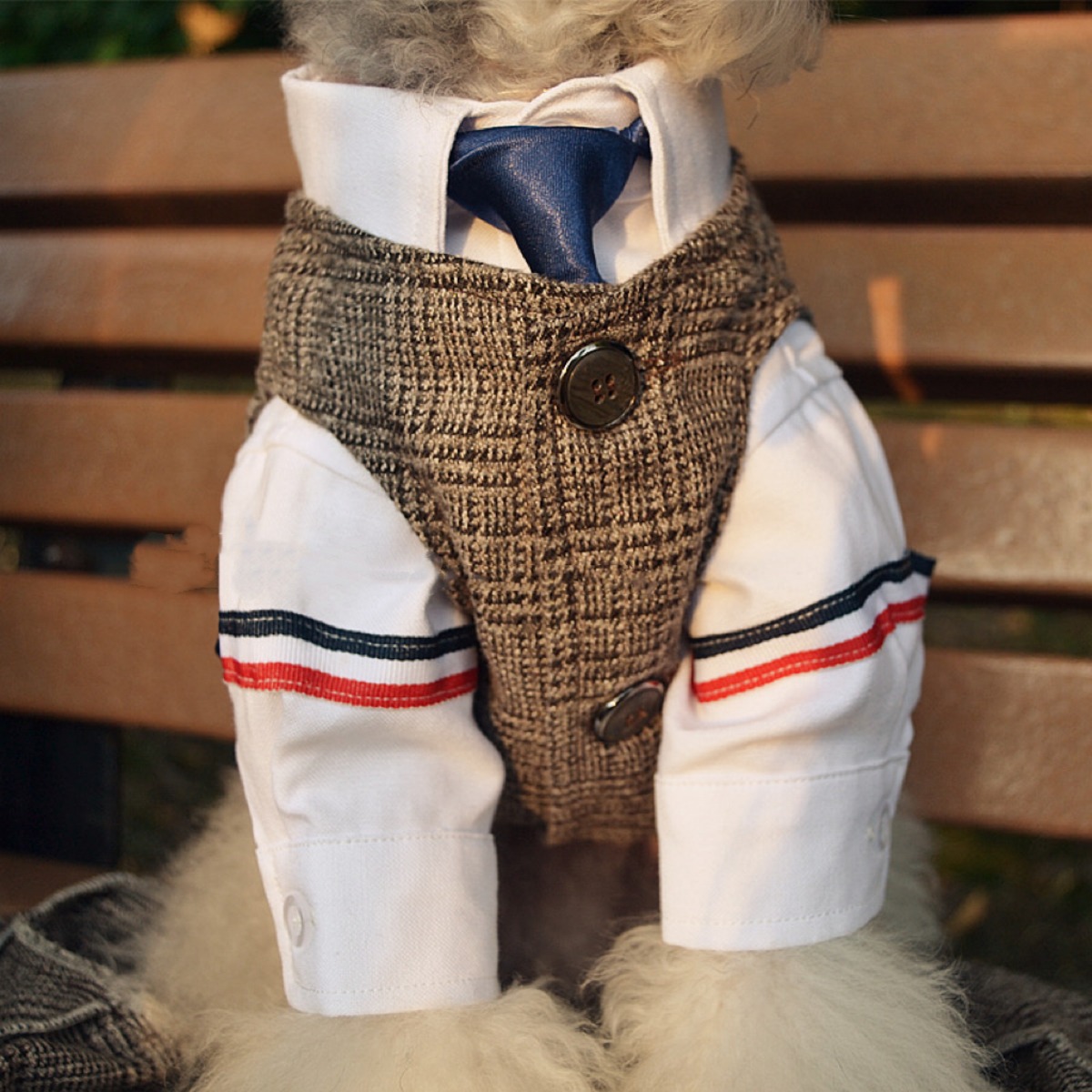 british vest L0845 | Liltoile