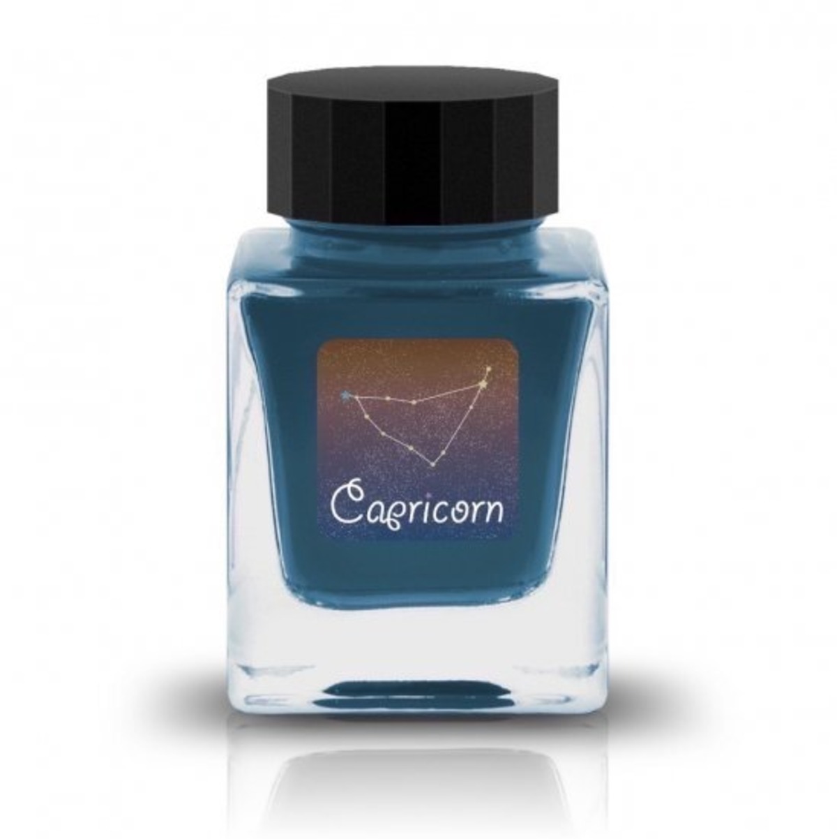 THE SIGHNS ~Capricorn~ -Writing Ink- | Giftionery Delta