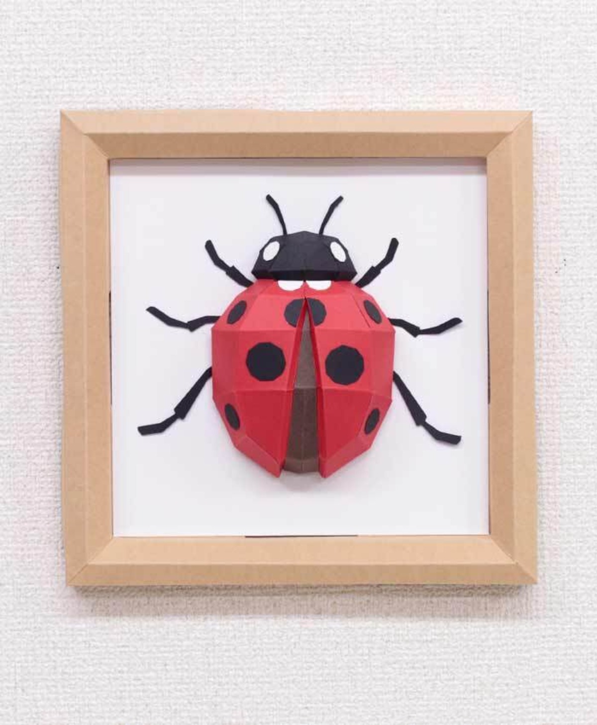 Paper Interior 標本 てんとう虫 specimen ladybug | むにむに製作所