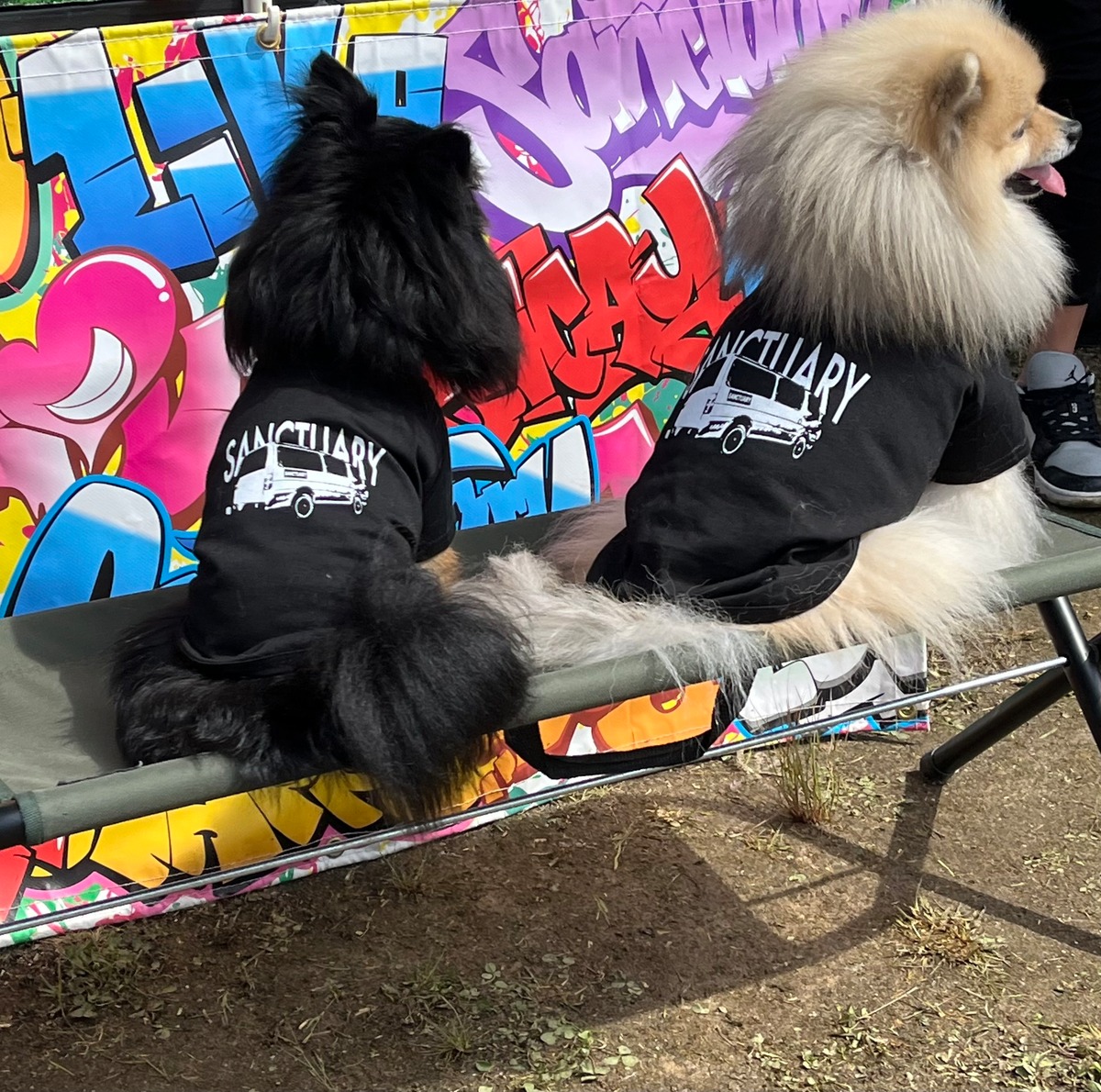 【春夏秋】Mercy Car Tee | SANCTUARY