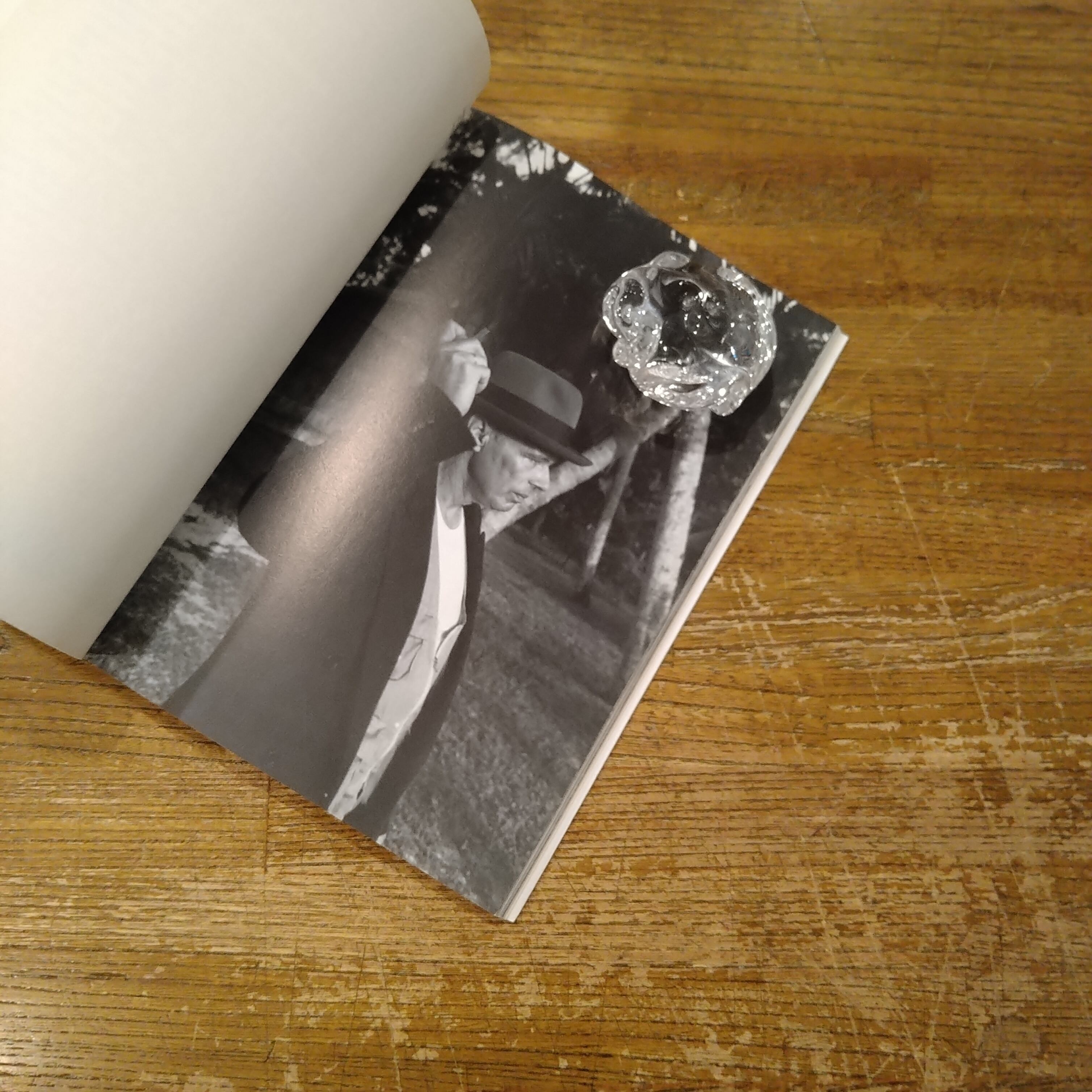 Joseph Boyes. Difesa della natura（ヨーゼフ・ボイス） | 百年