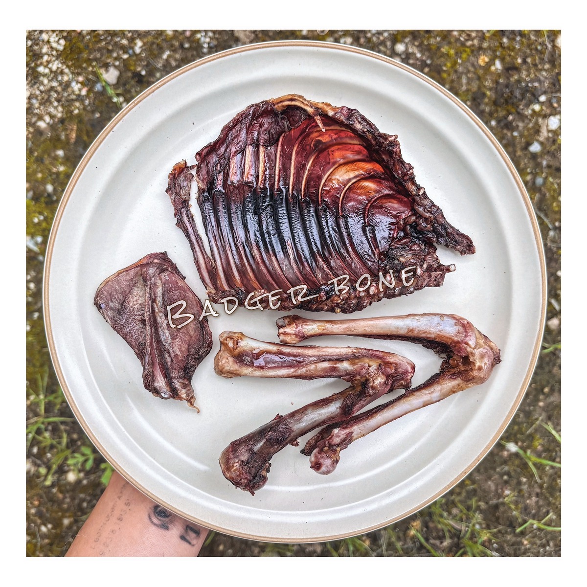 アナグマ 骨セット | NATURAL DOG TREAT "LMA"