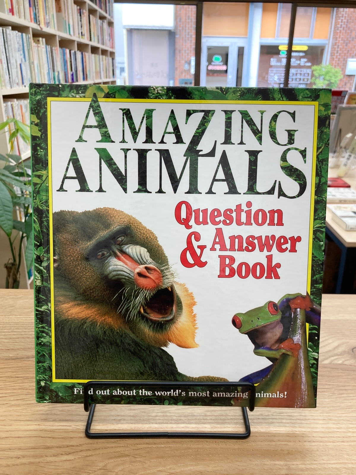 AMAZING ANIMALS Question & Answer Book | 埼玉・南浦和の本屋 ゆとぴやぶっくす ネットショップ