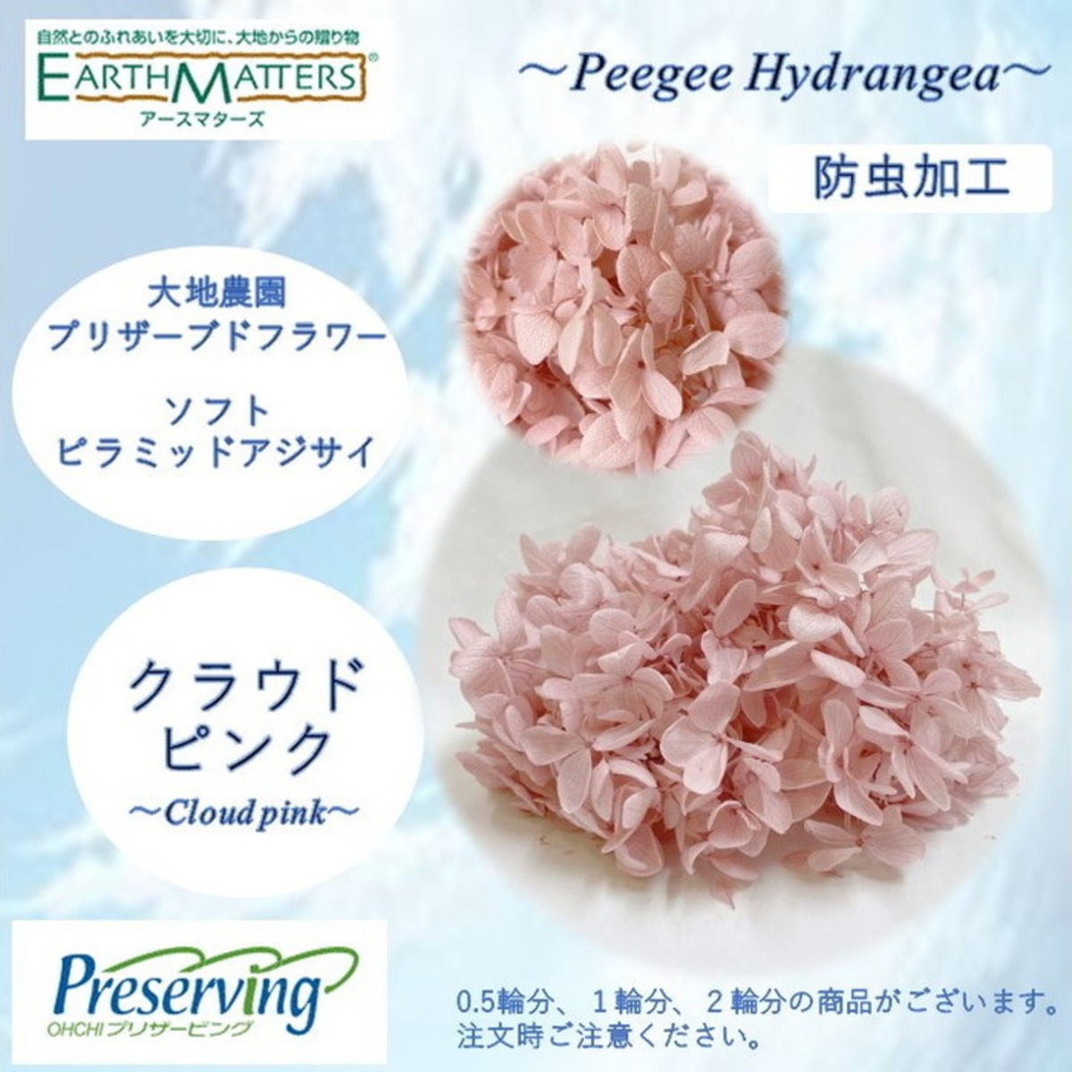 大地農園！プリザーブドフラワー 「2輪分 ソフトピラミッドアジサイ クラウドピンク」プリザ アジサイ 紫陽花 花材 ハーバリウム おしゃれ かわいい プレゼント 贈り物 オオチノウエン ソフト ...