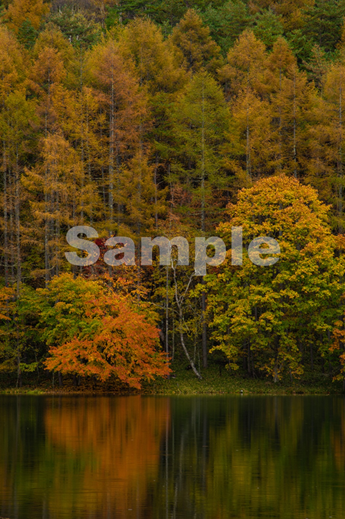 IMGP0027_2B | meadowscape