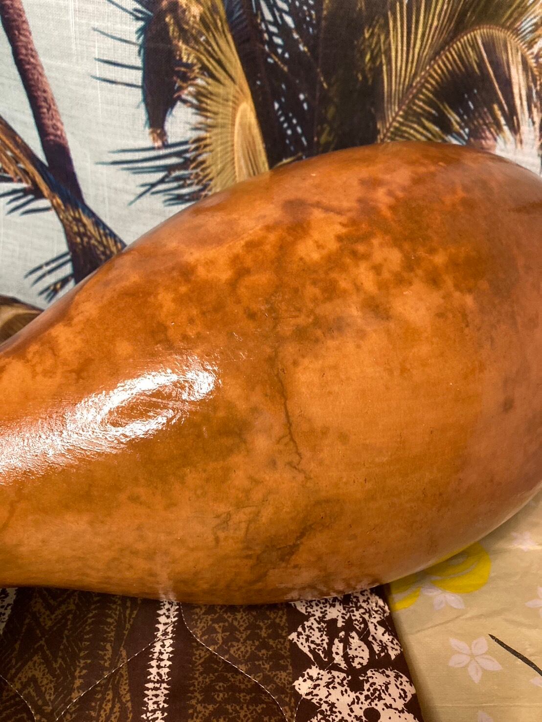 50cm イプヘケ | イプヘケ専門店 MOANA