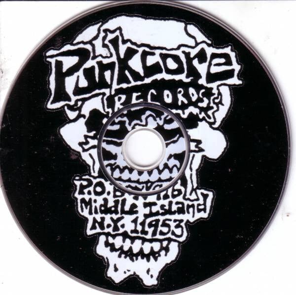 V.A./Pure Punk Rock Punk Core Records Sampler#1 | RECORD SHOP CONQUEST ...