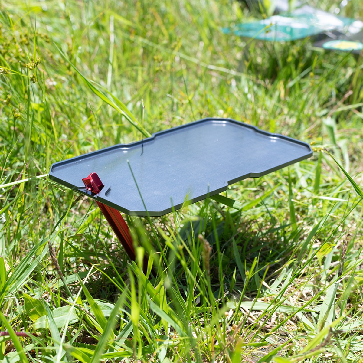 Multi Plate | Pep cycles & TiNY