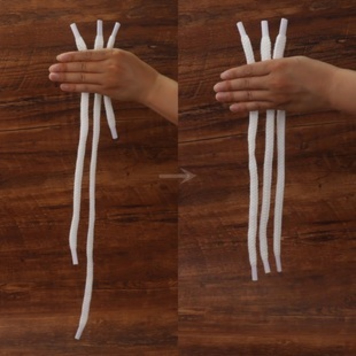 不思議な3本ロープ/Three Ropes Trick | ミスディレ