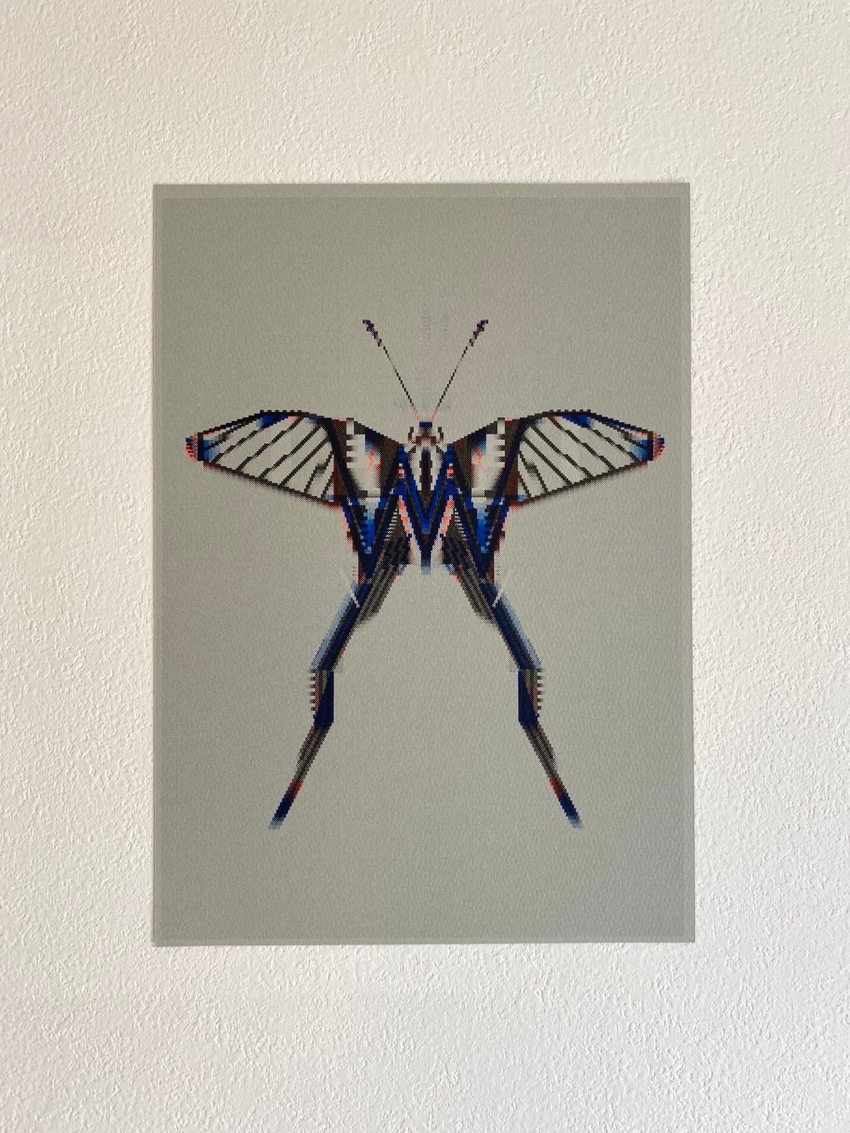 ドラゴンテールバタフライ（ Dragontail ） | hermippe