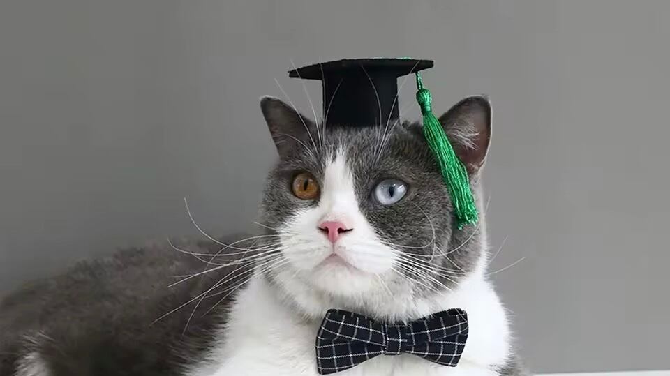 MEOW BAW BOUTIQUE】