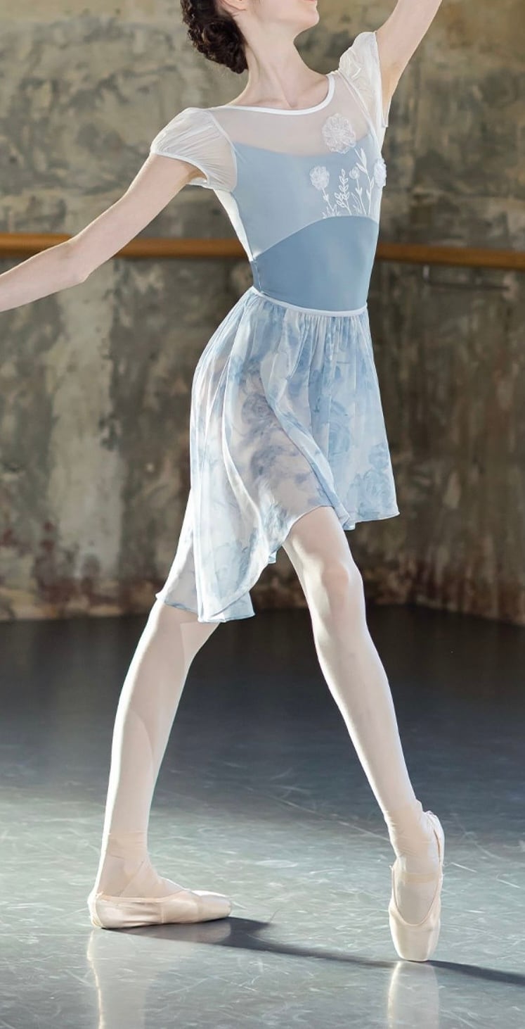 バレエレオタード専門店 Linarina