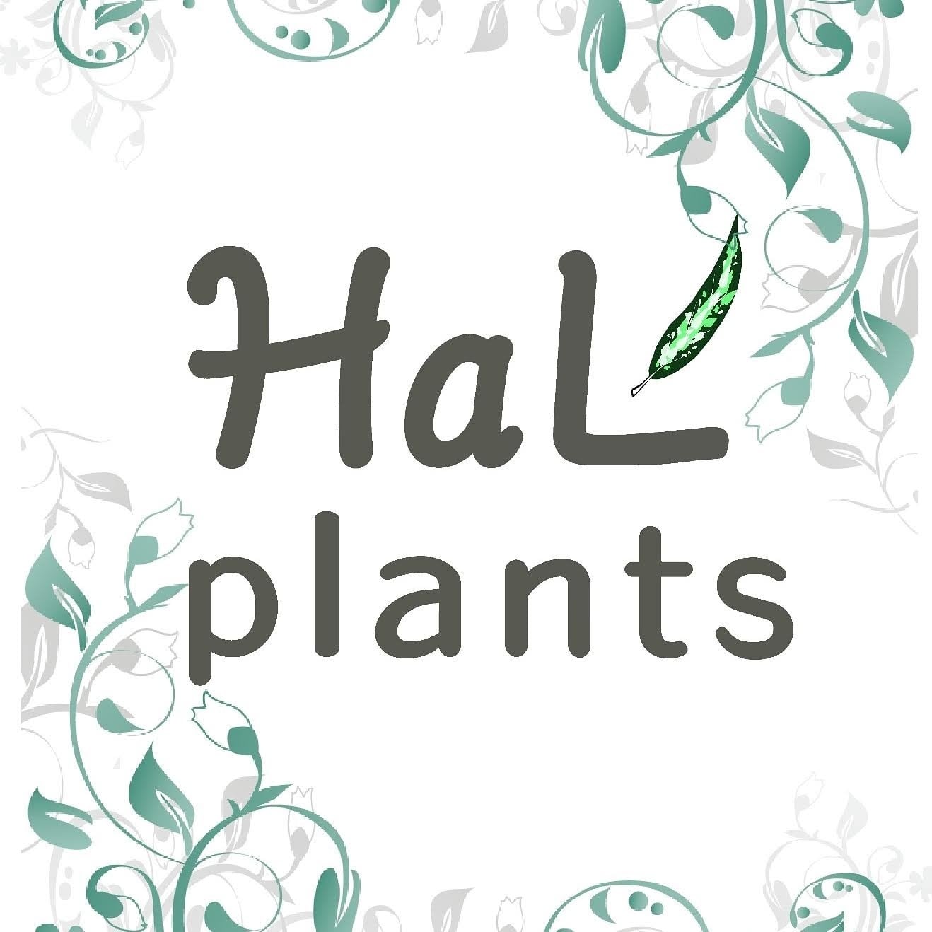 HaL plants