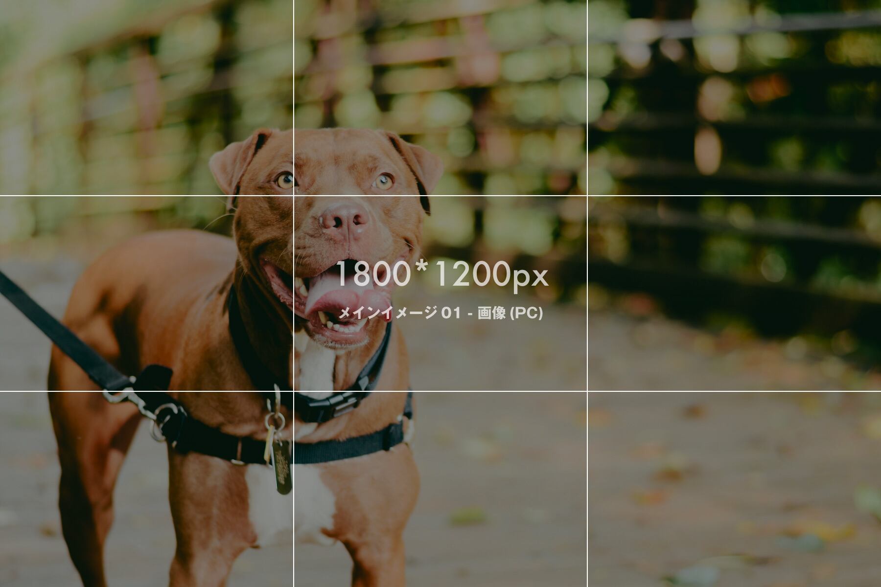 JUNKIEDOG/ジャンキードッグ