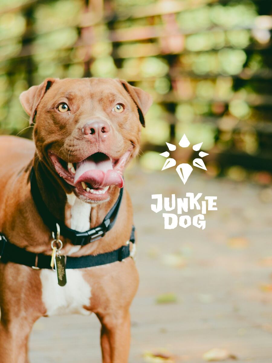 JUNKIEDOG/ジャンキードッグ
