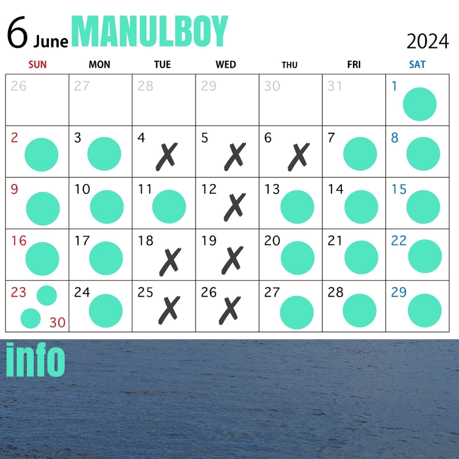 MANULBOY